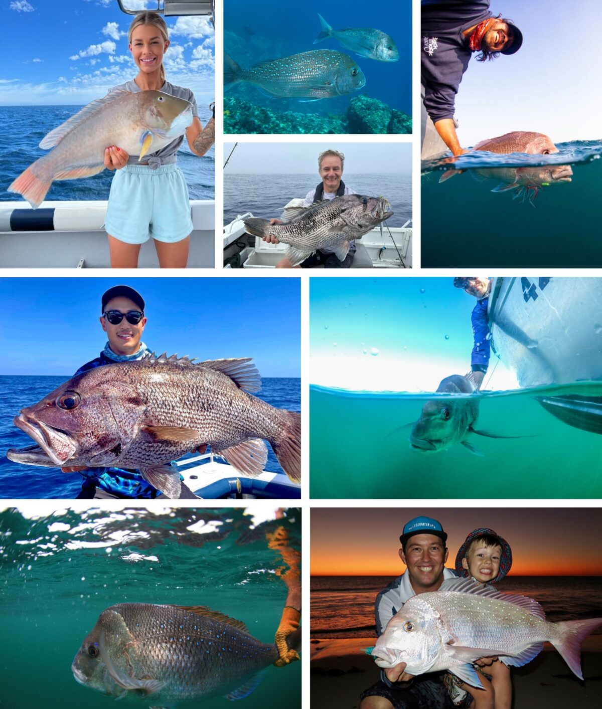 The Commitment - Dhufish Forever